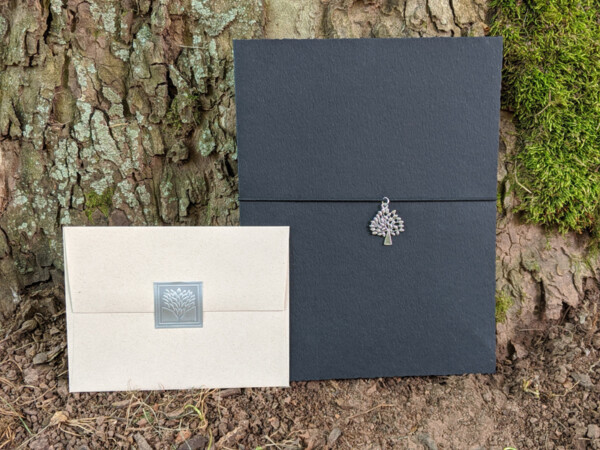 Planting Memorial Trees in National Forests - The Trees Remember