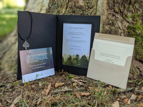 Planting Memorial Trees in National Forests - The Trees Remember