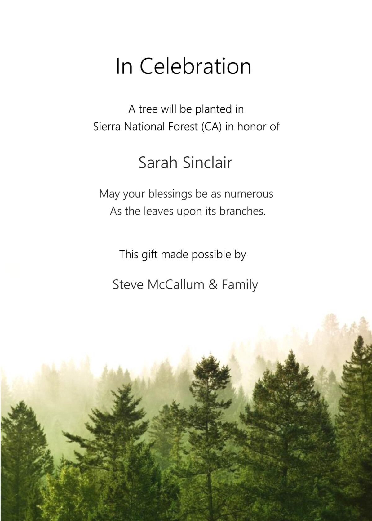 Celebration Trees Planted in U.S. National Forests for You