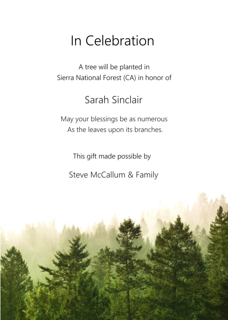 Celebration Trees Planted in U.S. National Forests for You