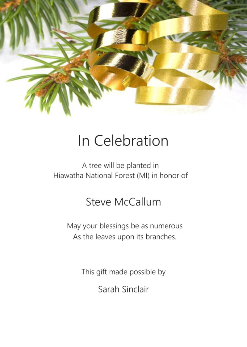 Celebration Trees Planted in U.S. National Forests for You