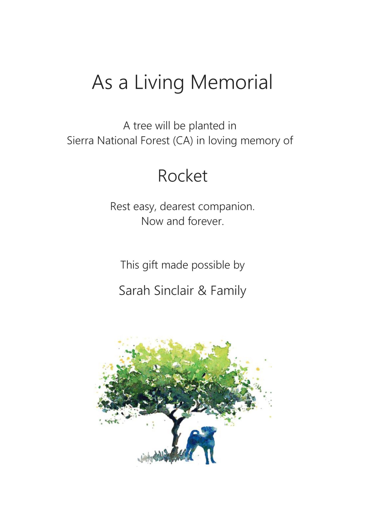 Pet Loss Trees - The Trees Remember