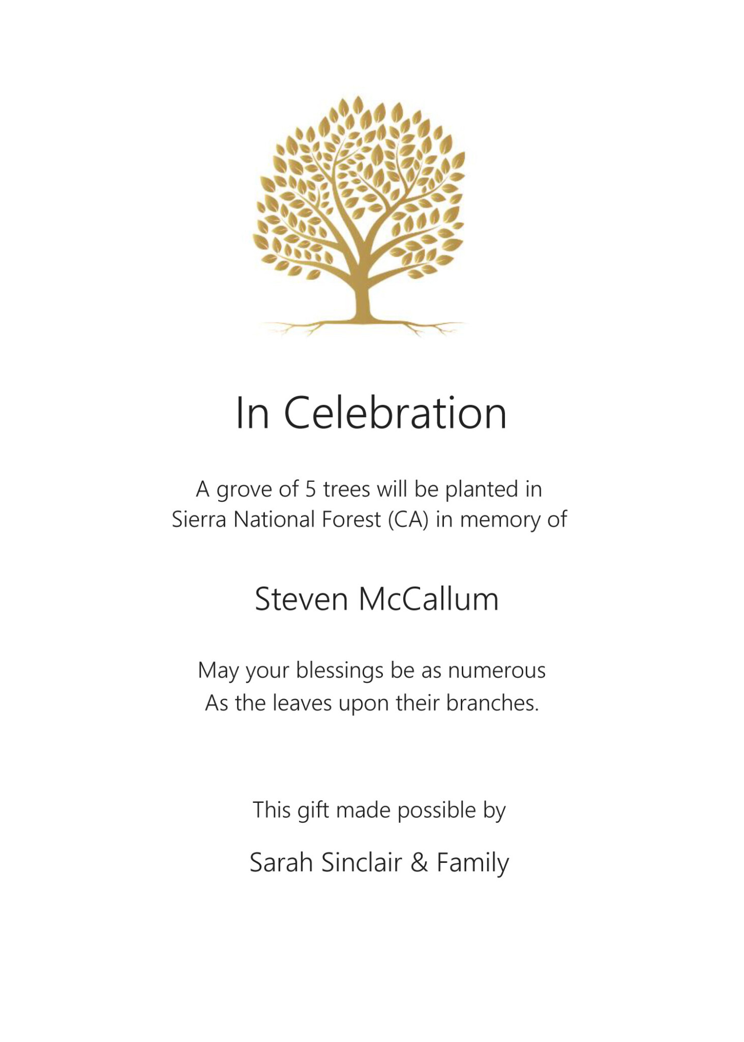 Celebration Trees Planted in U.S. National Forests for You