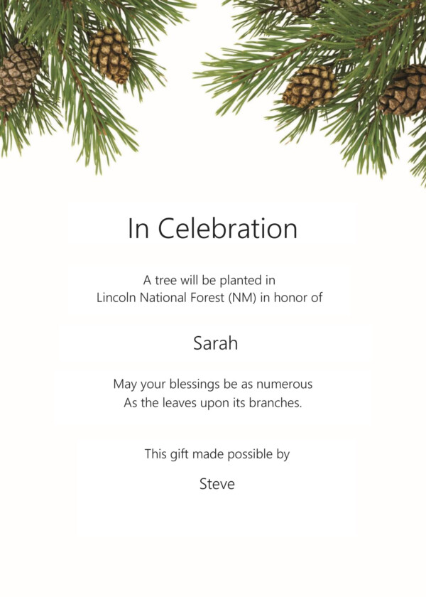 Celebration Trees Planted in U.S. National Forests for You