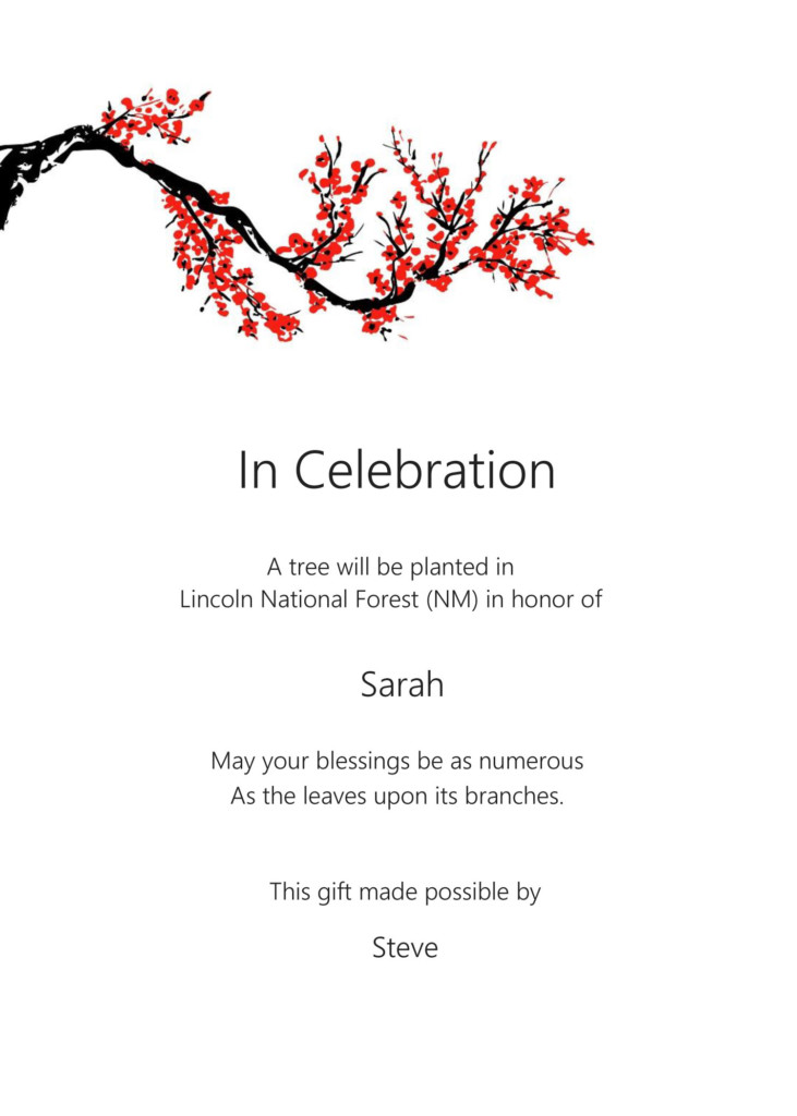 Celebration Trees Planted in U.S. National Forests for You
