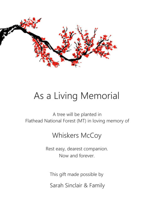 Pet Loss Trees - The Trees Remember