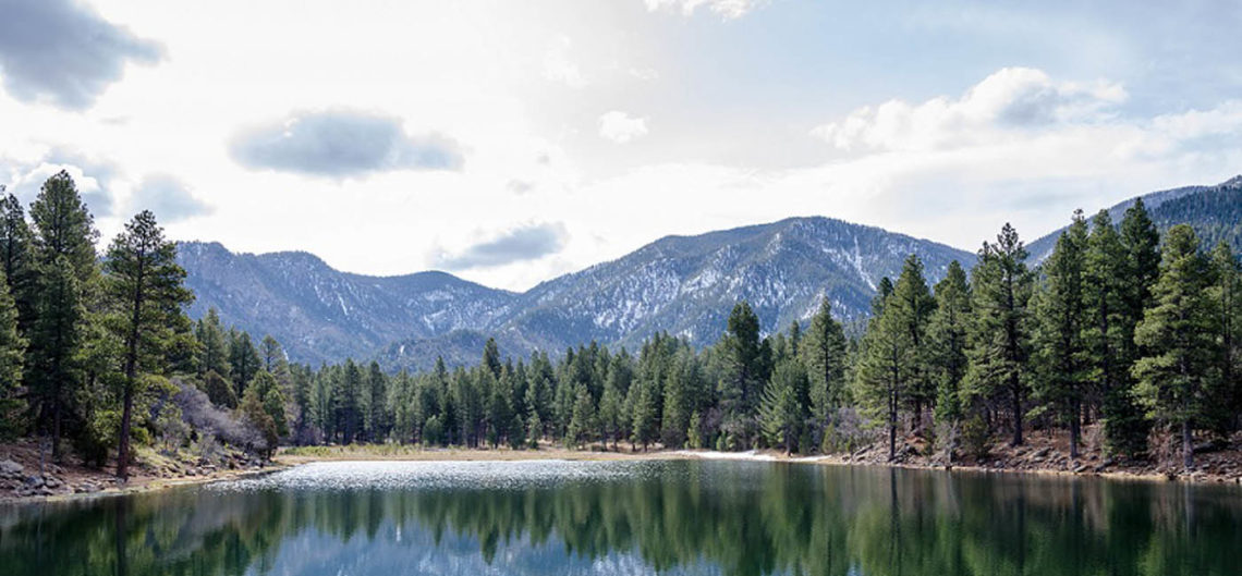 Planting Trees in Utah - The Trees Remember