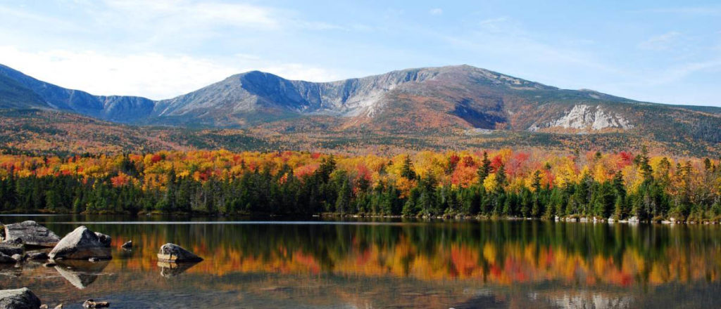 Planting Trees in Maine - The Trees Remember