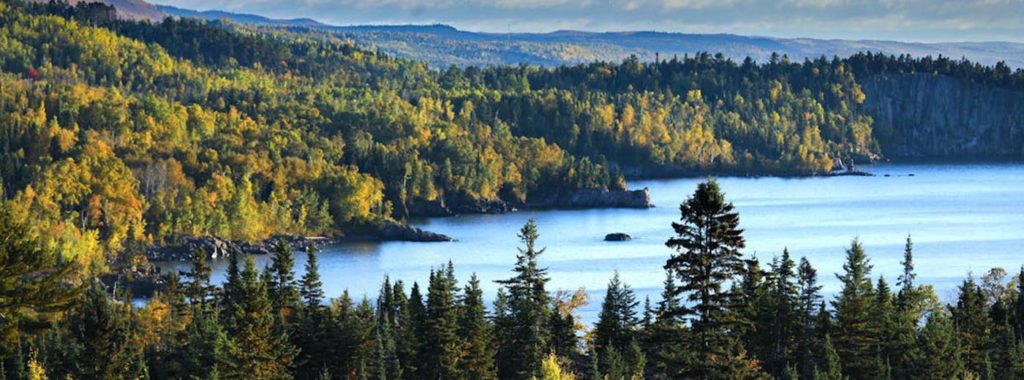 Planting Trees in Minnesota - The Trees Remember