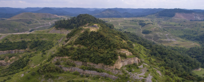 Planting Trees in West Virginia - The Trees Remember