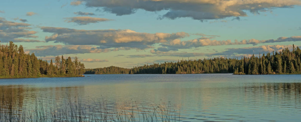 Planting Trees In Manitoba - The Trees Remember