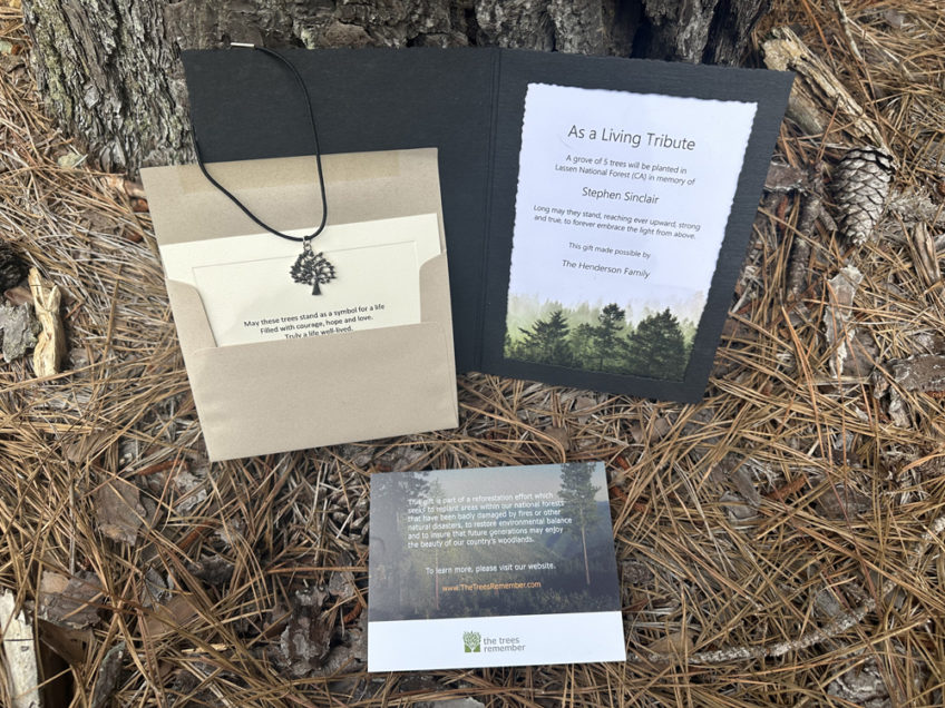 Planting Memorial Trees in National Forests - The Trees Remember